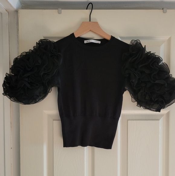 Zara | Tops | Zara Ruffle Sleeve Knit | Poshmark